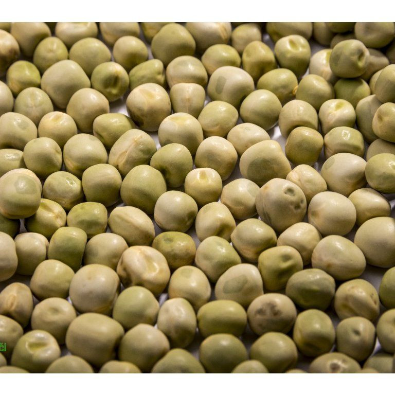 Semínka hrách setý Affyla | Na pěstování microgreens | growmarket.cz