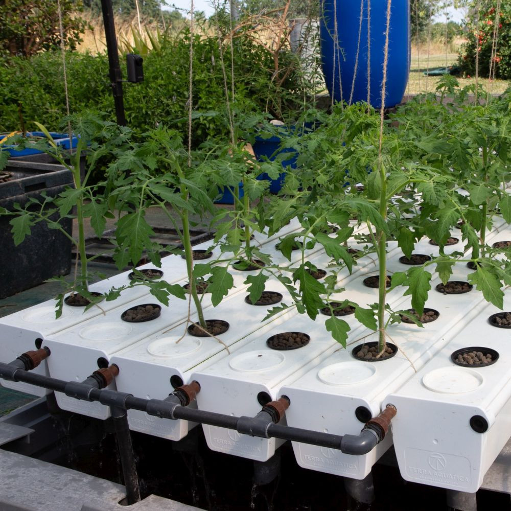 Terra Aquatica Growstream 10 V2, aero-hydro systém pro 10 rostlin :: growmarket.cz